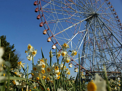 Kasai Rinkai Park - Tokyo Travel Guide - Wapedia